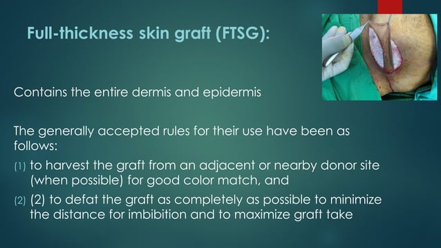 Skin-Fat Composite Grafts for Reconstructing Large Full-Thickness Skin ...