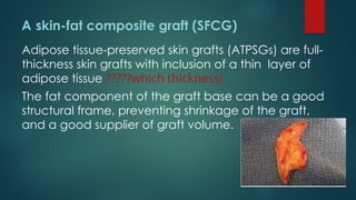 Skin-Fat Composite Grafts for Reconstructing Large Full-Thickness Skin ...