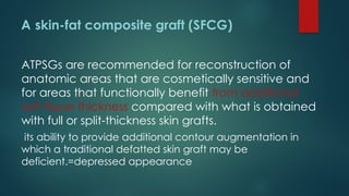 Skin-Fat Composite Grafts for Reconstructing Large Full-Thickness Skin ...