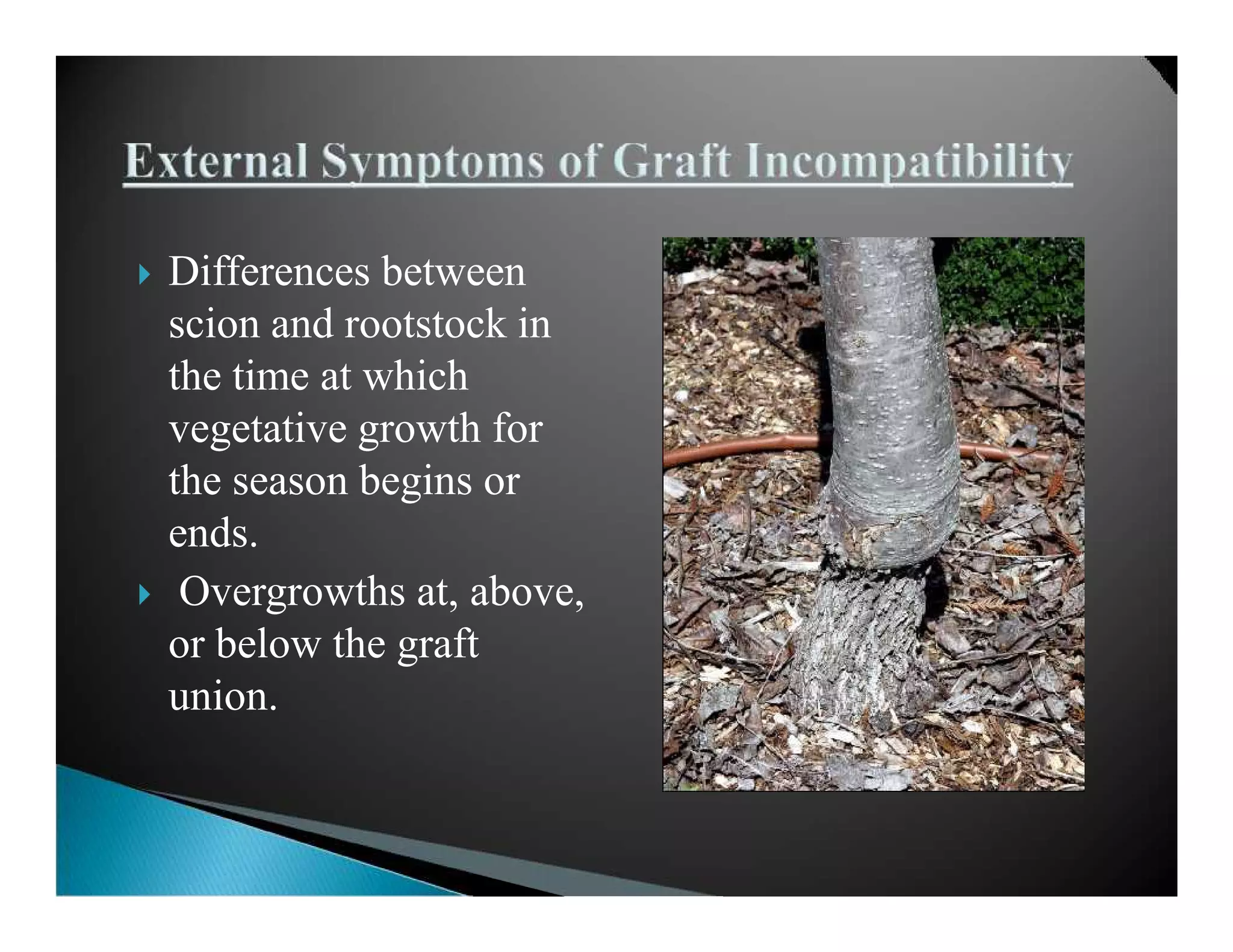 Graft incopatibility | PDF