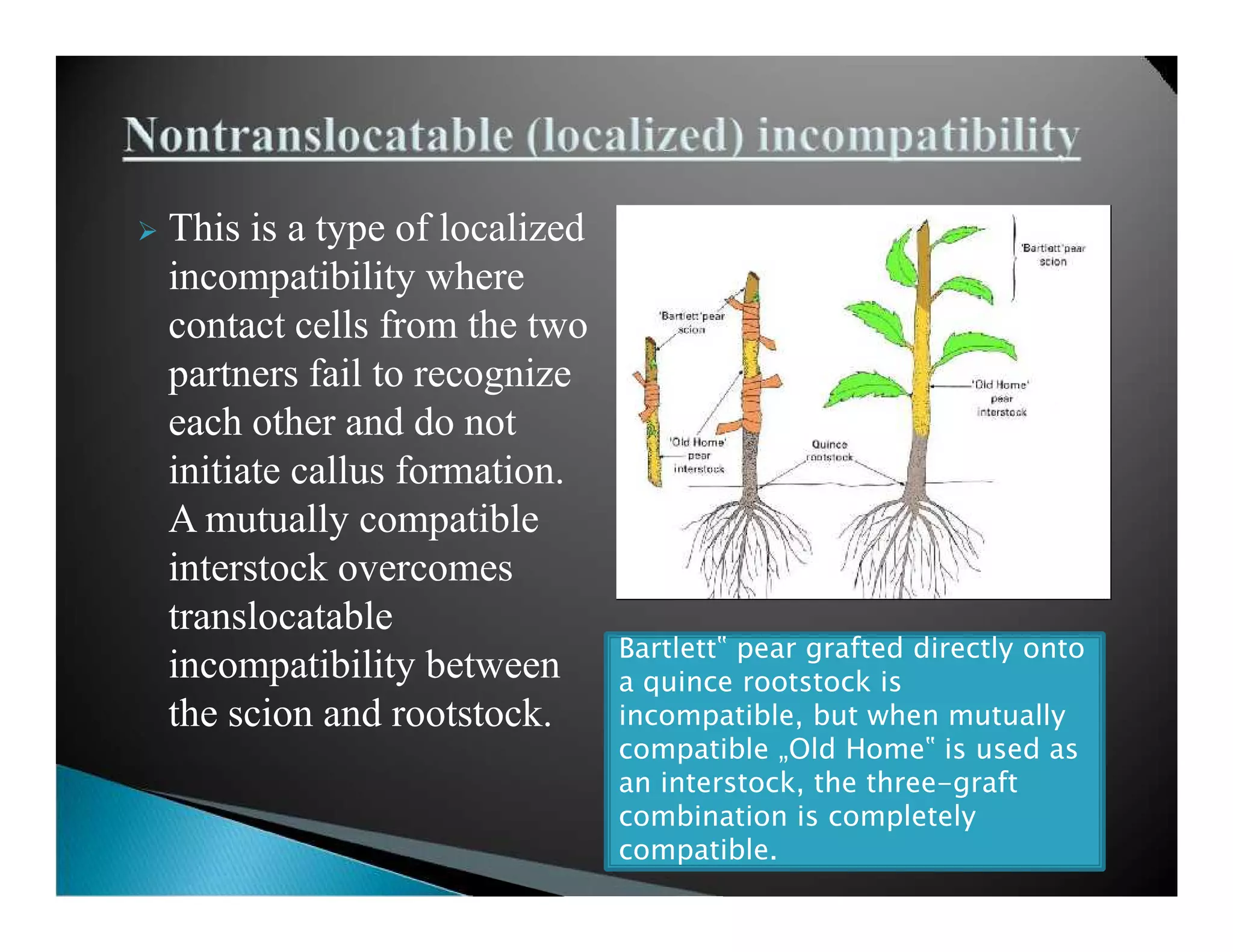 Graft incopatibility | PDF