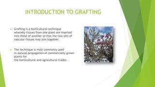 Grafting | PPTX