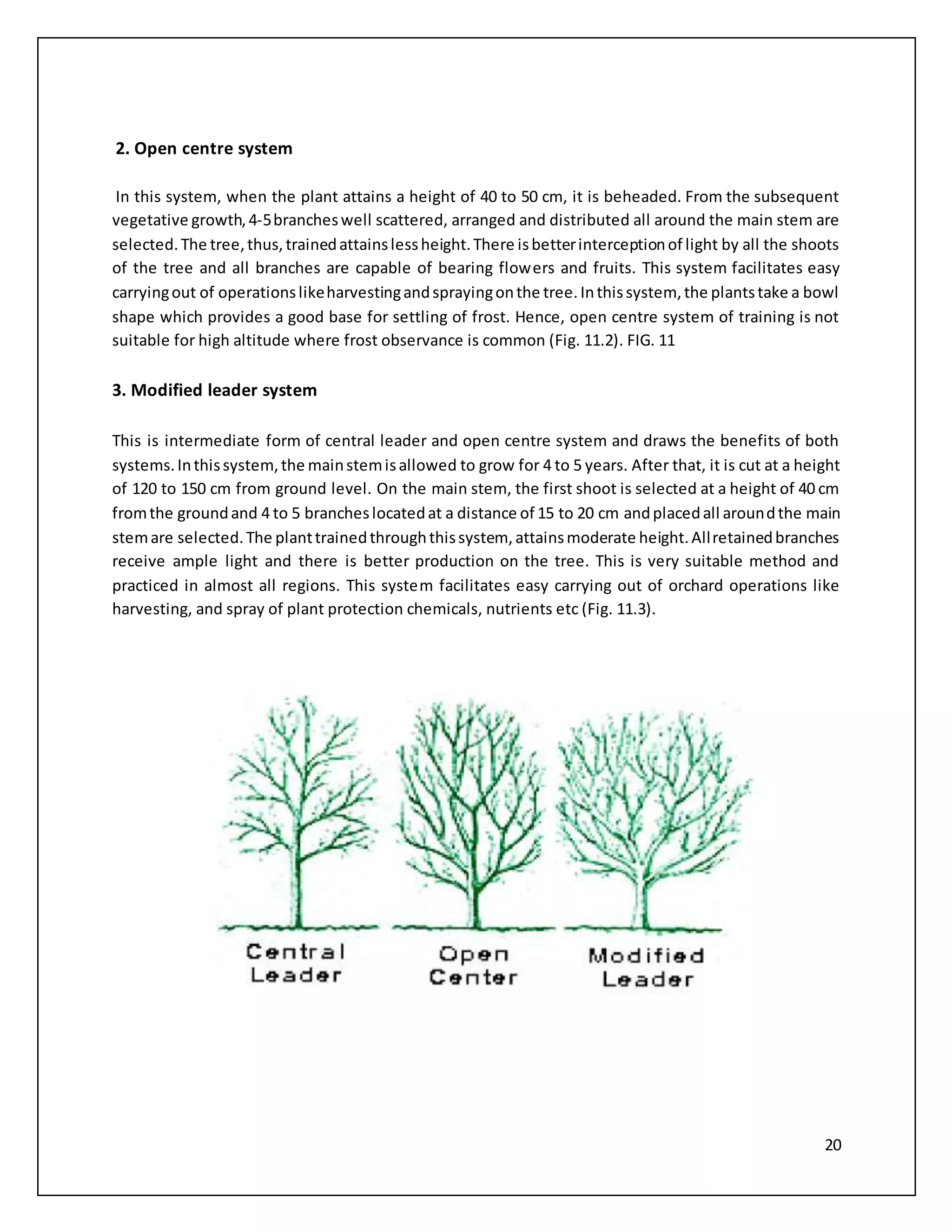 Methods Of Asexual Propagation Docx Woodworking Arts And Crafts