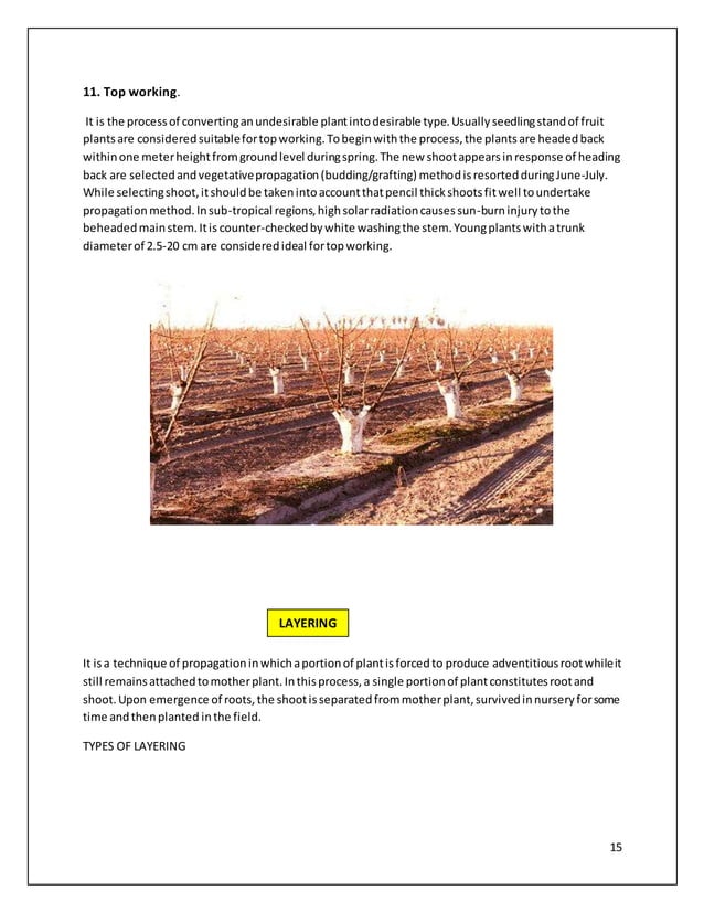 Methods Of Asexual Propagation Docx