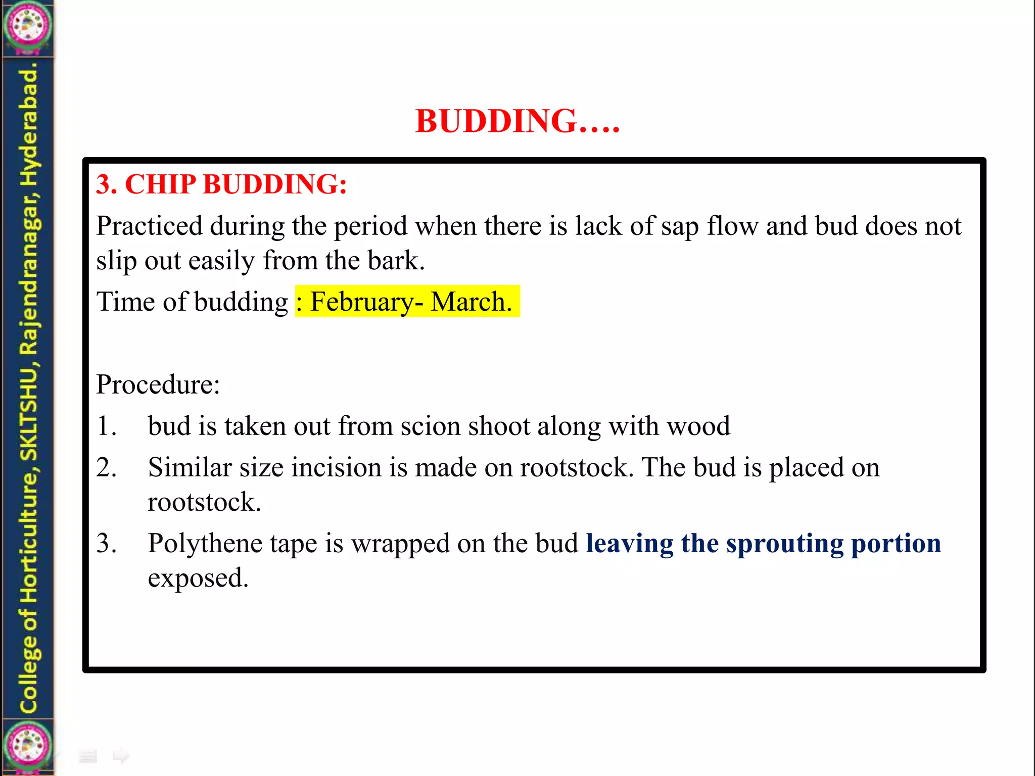 Grafting and its types in fruit crops | PPTX