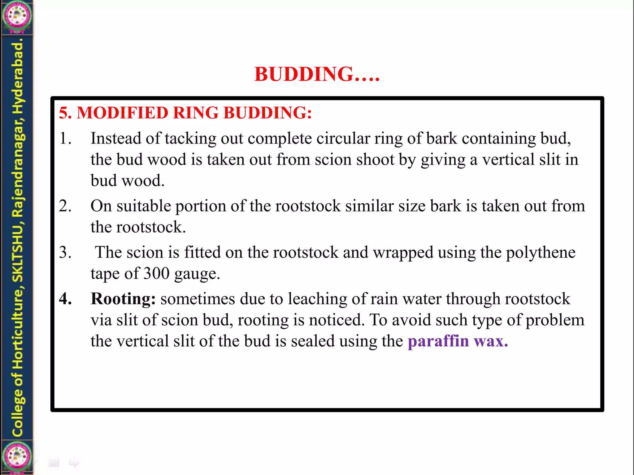 Grafting and its types in fruit crops | PPTX