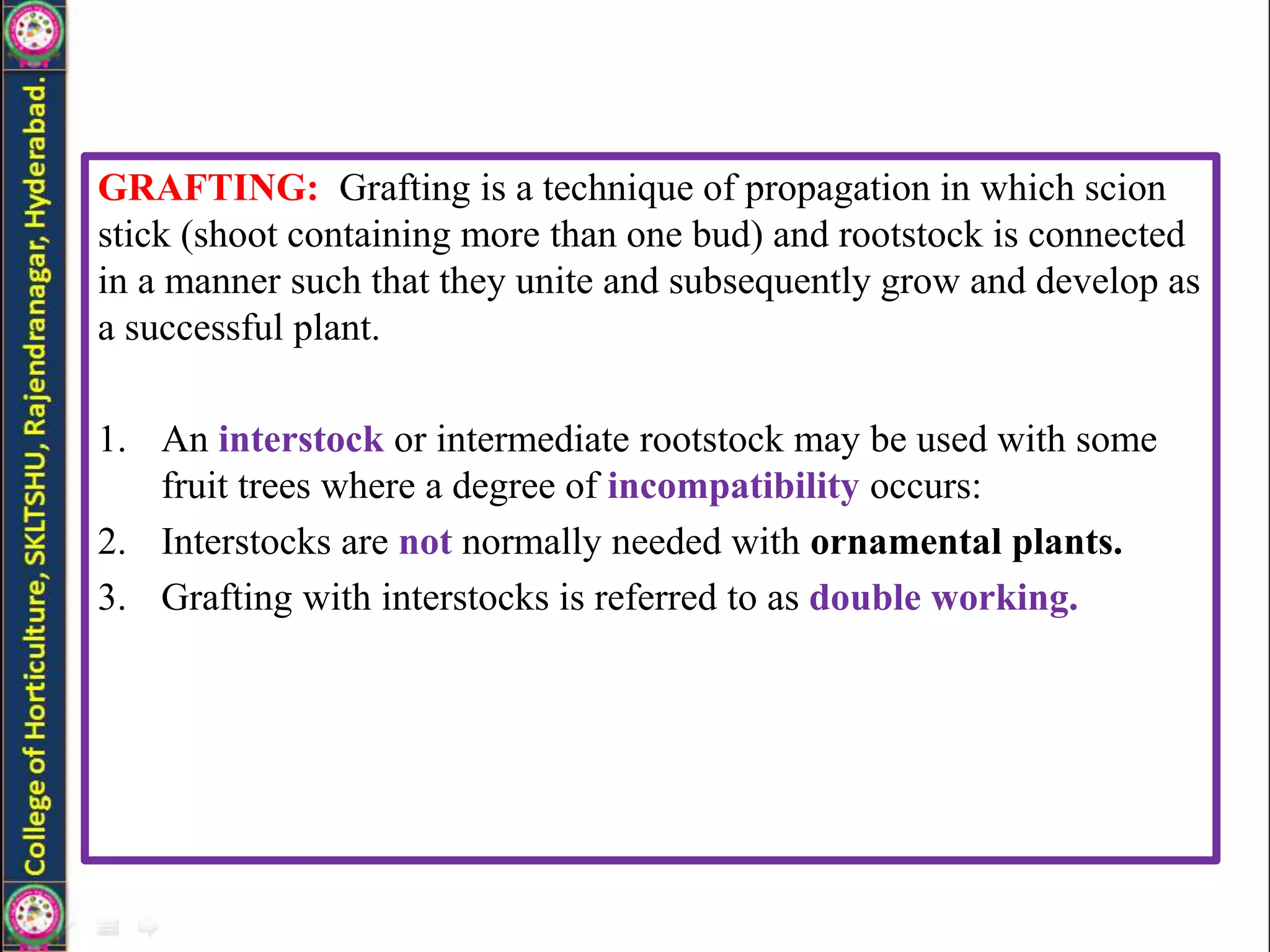Grafting and its types in fruit crops | PPTX