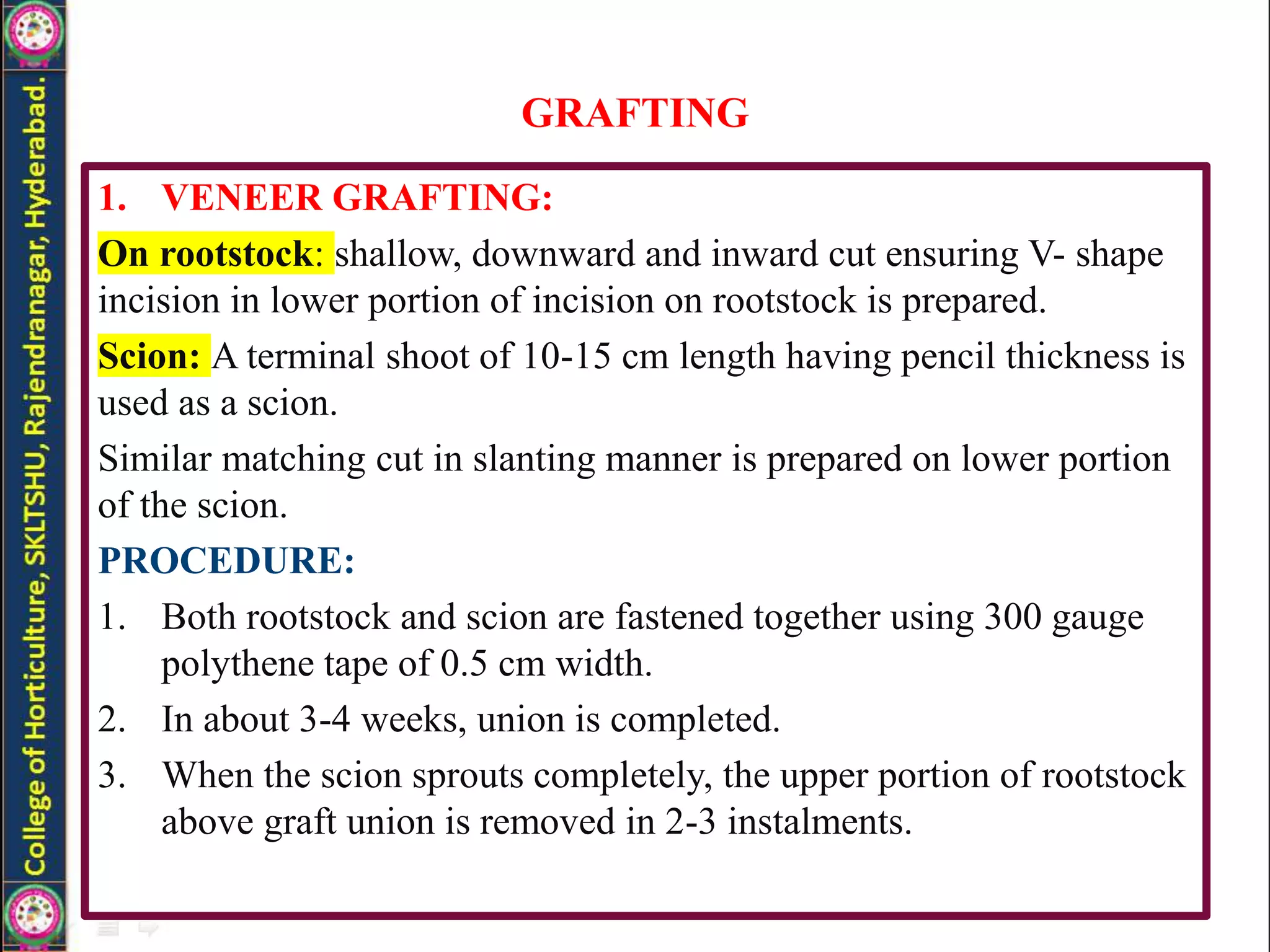 Grafting and its types in fruit crops | PPTX