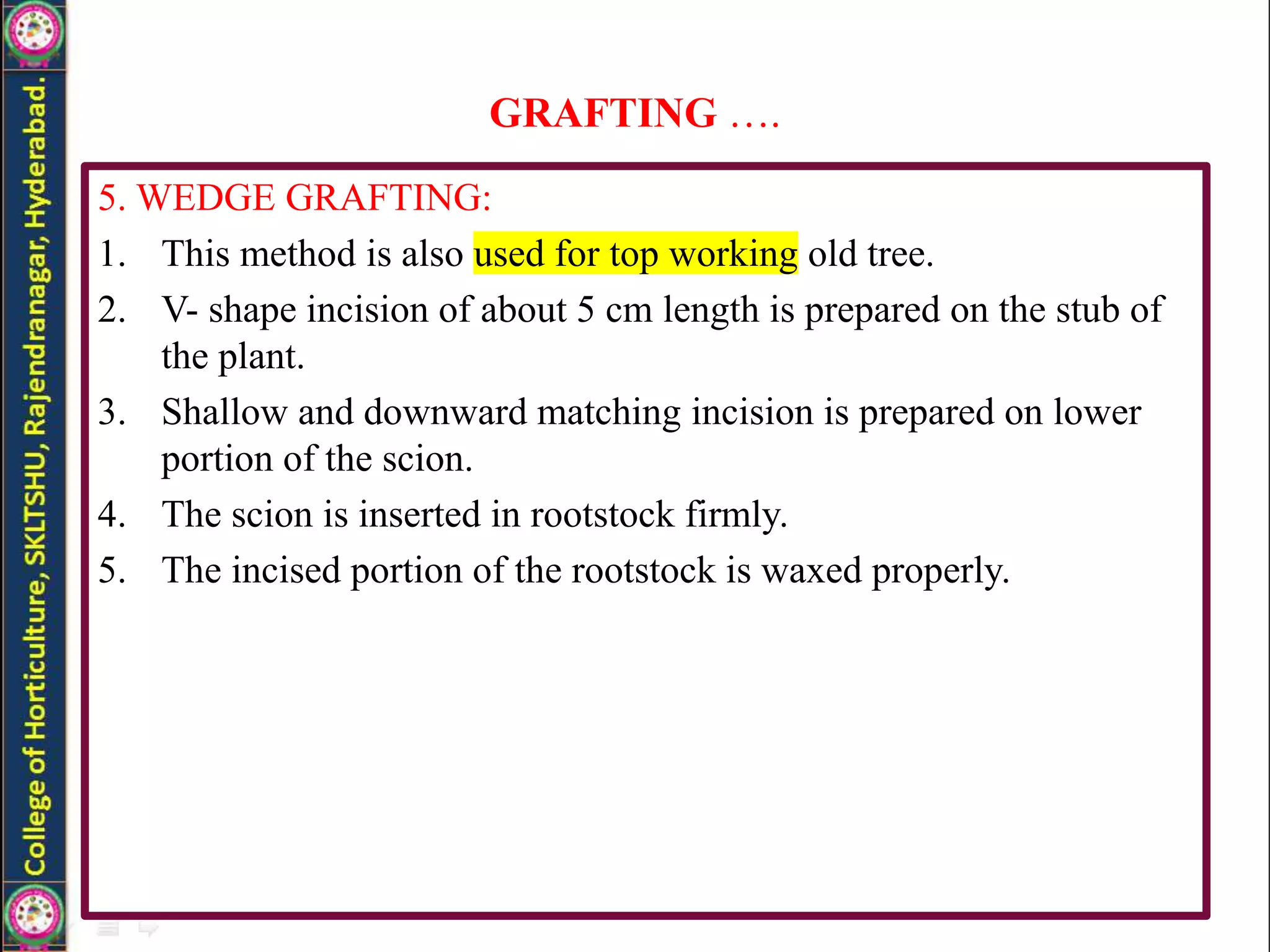 Grafting and its types in fruit crops | PPTX