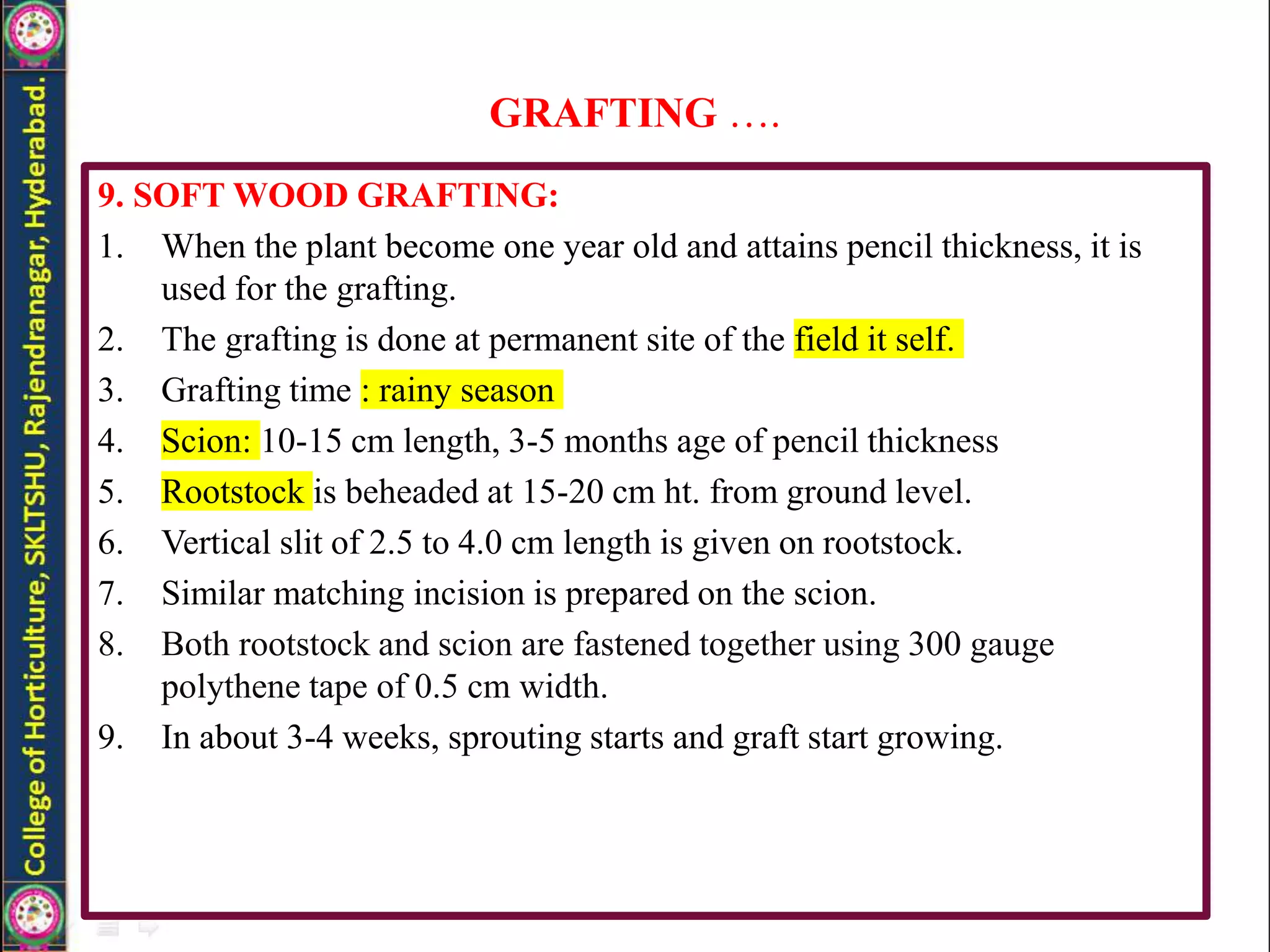 Grafting and its types in fruit crops | PPTX