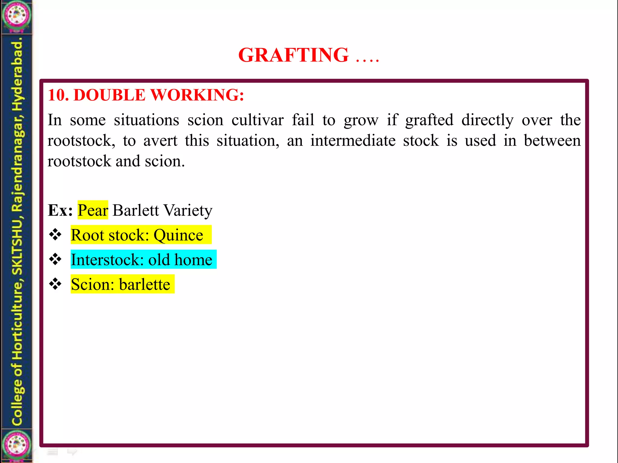 Grafting and its types in fruit crops | PPTX