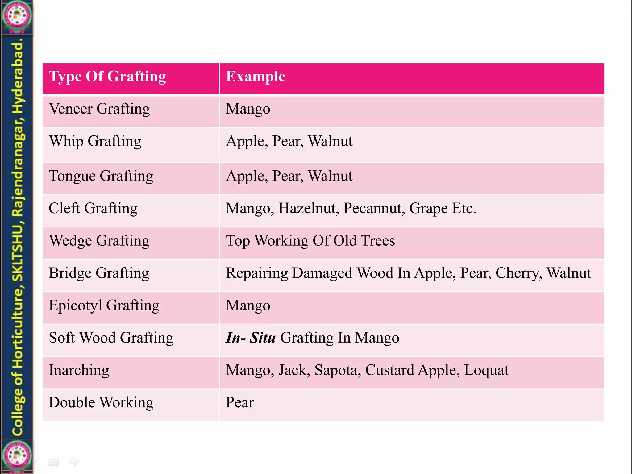 Grafting and its types in fruit crops | PPTX