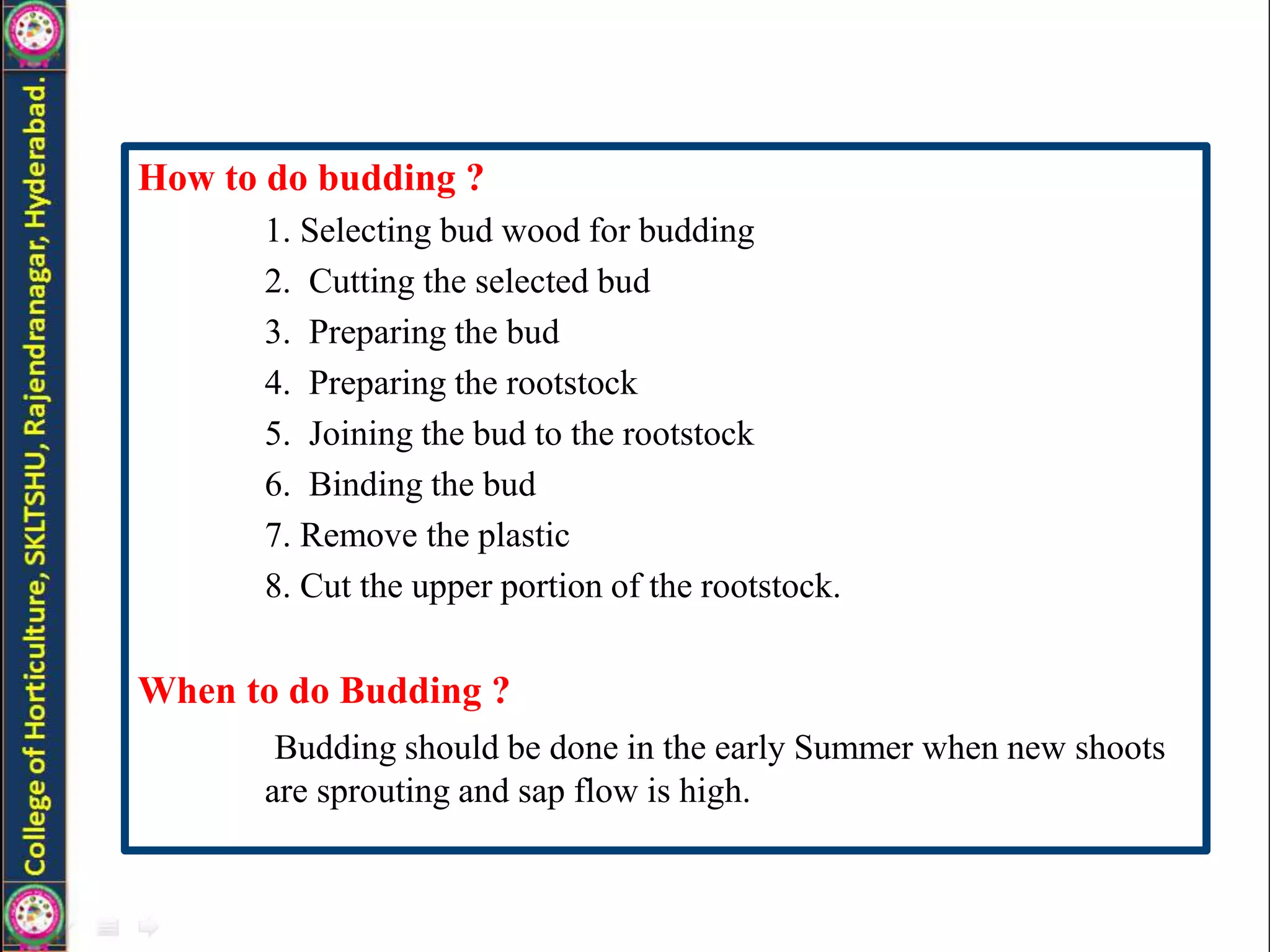 Grafting and its types in fruit crops | PPTX