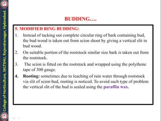 Grafting and its types in fruit crops | PPTX
