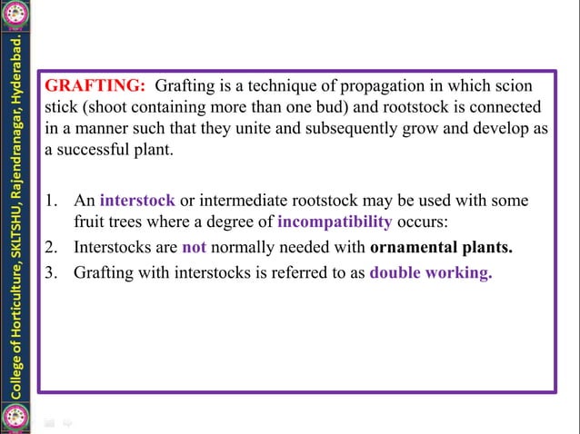 Grafting and its types in fruit crops | PPTX