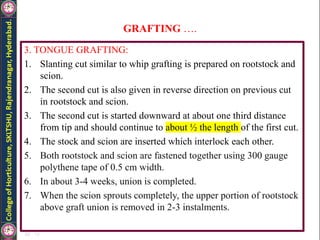 Grafting and its types in fruit crops | PPTX