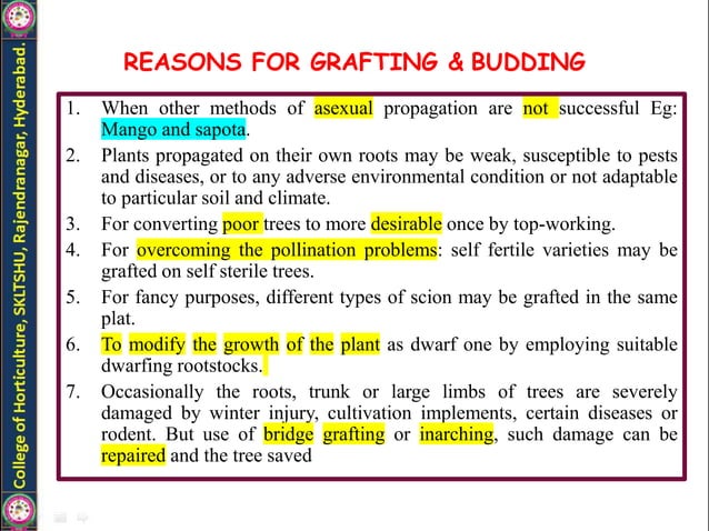 Grafting and its types in fruit crops | PPTX