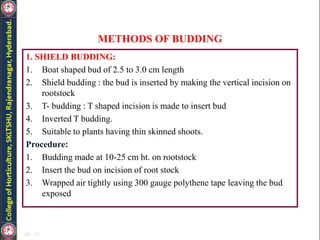 Grafting and its types in fruit crops | PPTX