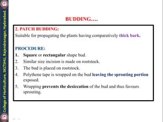 Grafting and its types in fruit crops | PPTX