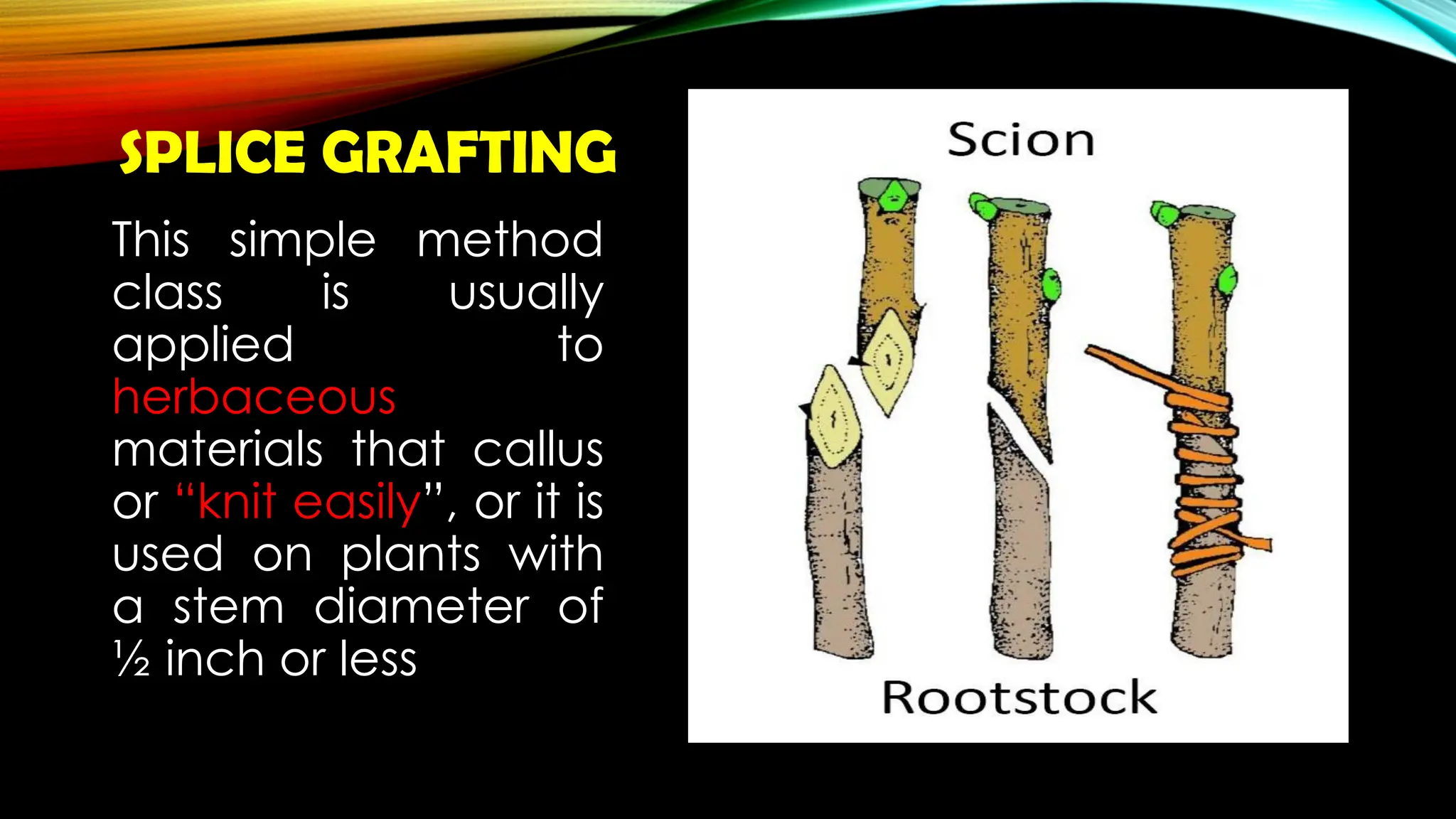grafting TECHNIQUES AND ITS CLASSIFICATION | PPTX