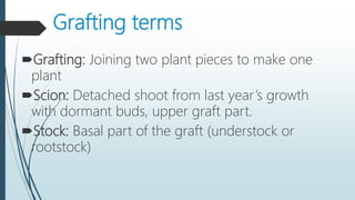 Grafting methods.pptx
