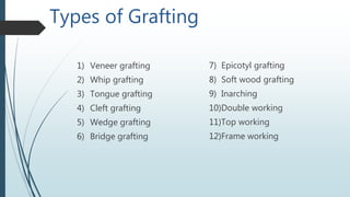 Grafting methods.pptx