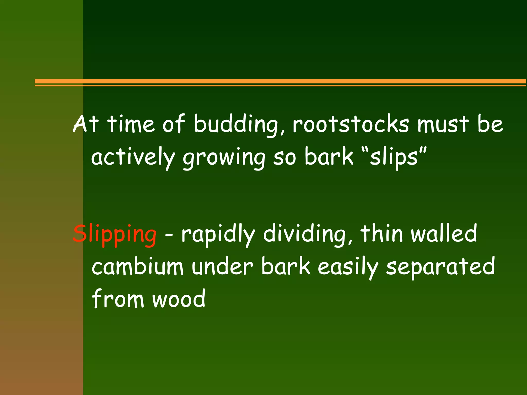 Grafting budding | PPT
