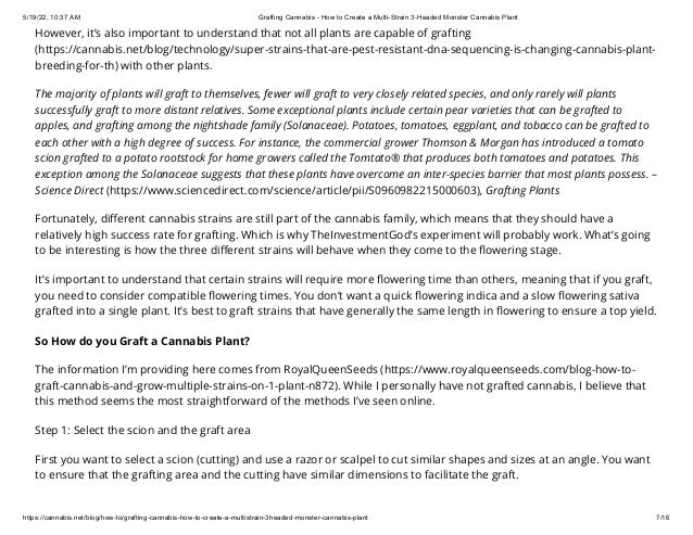 Grafting a Marijuana Plant into Multi-Strains | PPT