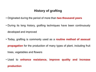 Grafting in ornamental crops | PPTX