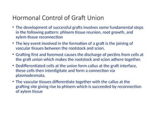GRAFT SCION RELATIONSHIP.pptx about plant | PPTX