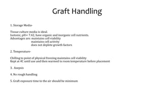 Grafts in oral and maxillofacial surgery | PPTX