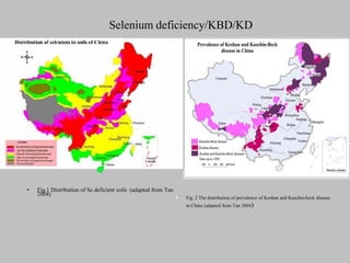 Improving human nutrition through food systems: studies in China ...