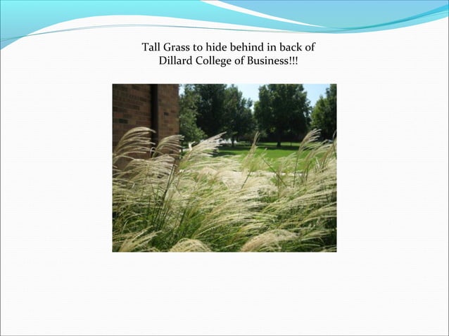 Graham 6pix power point presentation | PPT