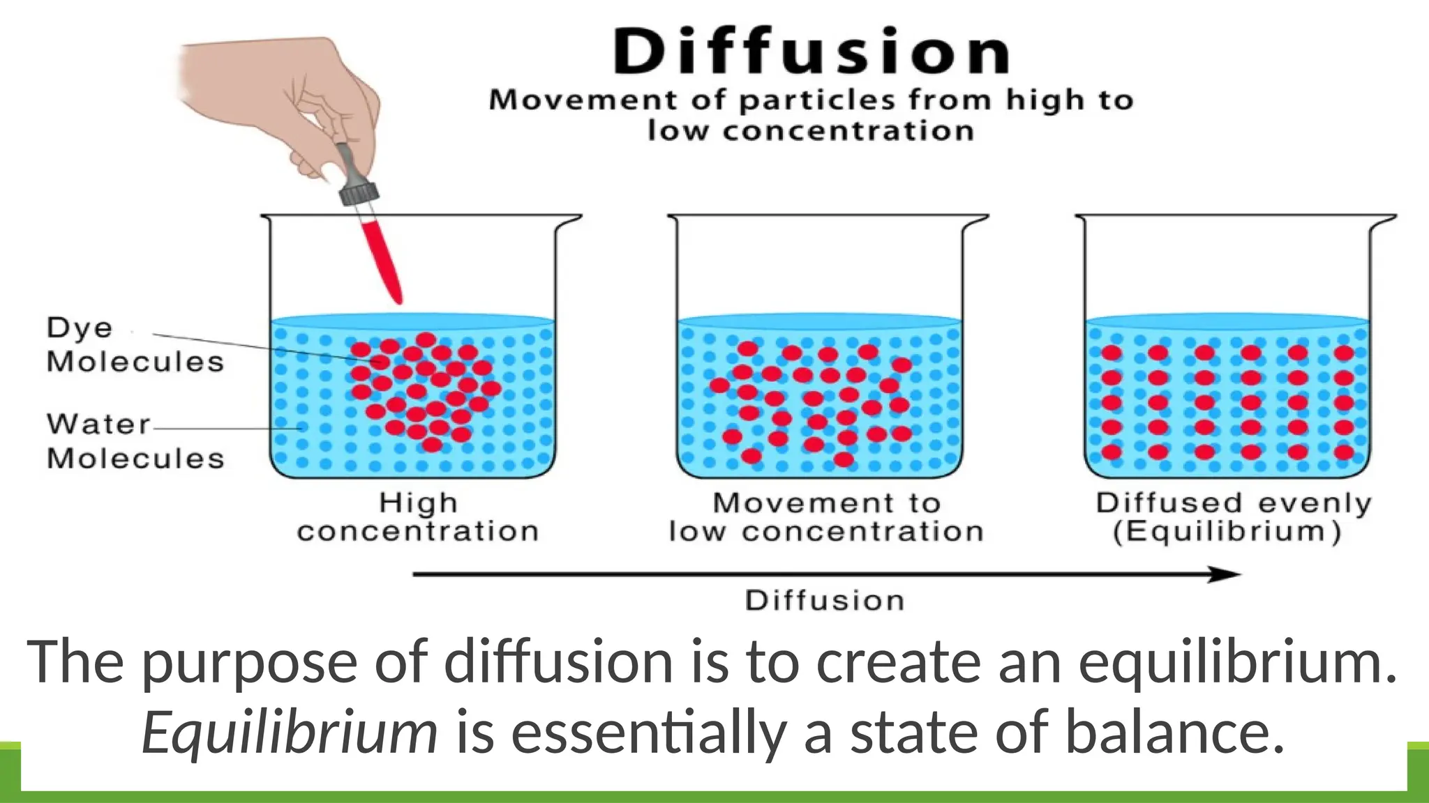 Grahams-Law-of-Diffusion-(Gas)final.pptx | Chemistry | Science