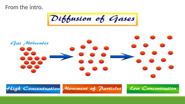 Grahams-Law-of-Diffusion-(Gas)final.pptx | Chemistry | Science