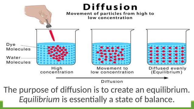 Grahams-Law-of-Diffusion-(Gas)final.pptx | Chemistry | Science