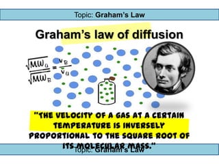 Graham's law | PPTX