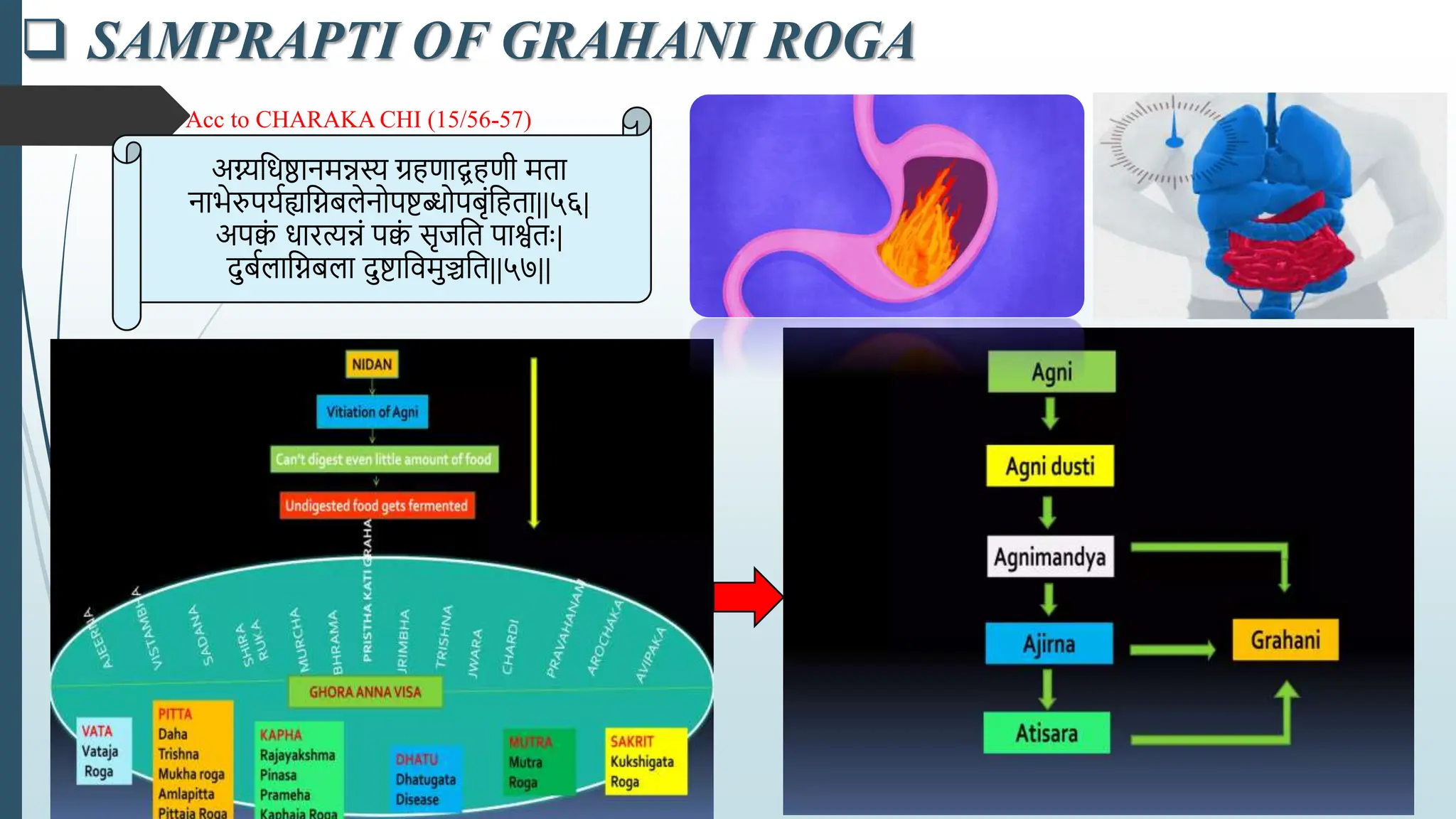 AN EMPIRICAL APPROACH TO NIDANA PANCHAKA IN GRAHANI | PPTX