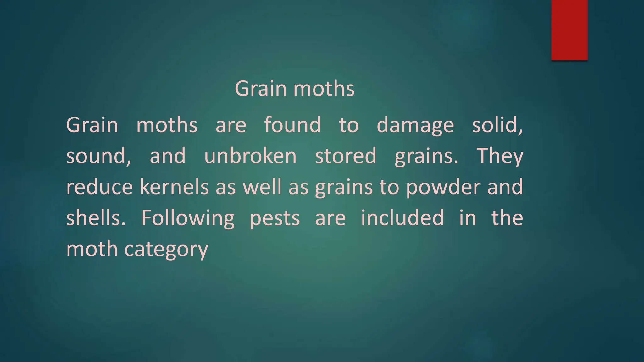 grain moths.pptx