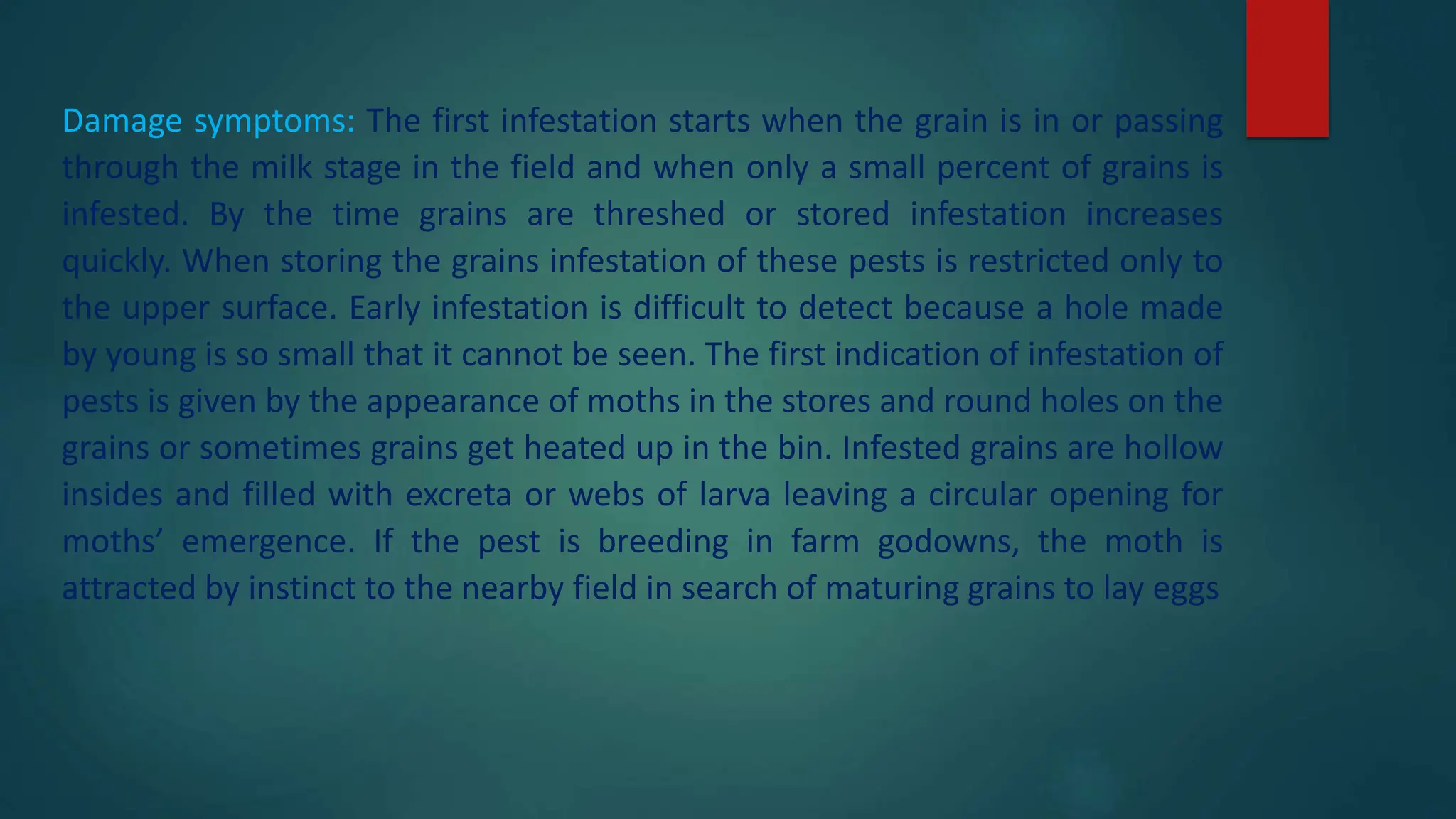 grain moths.pptx