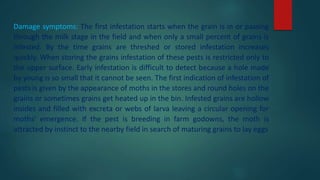 grain moths.pptx