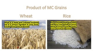 Discover the Nutritional Power of Grains: Essential Health Benefits ...