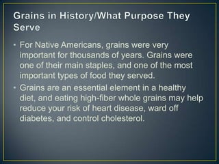 Grains | PPTX