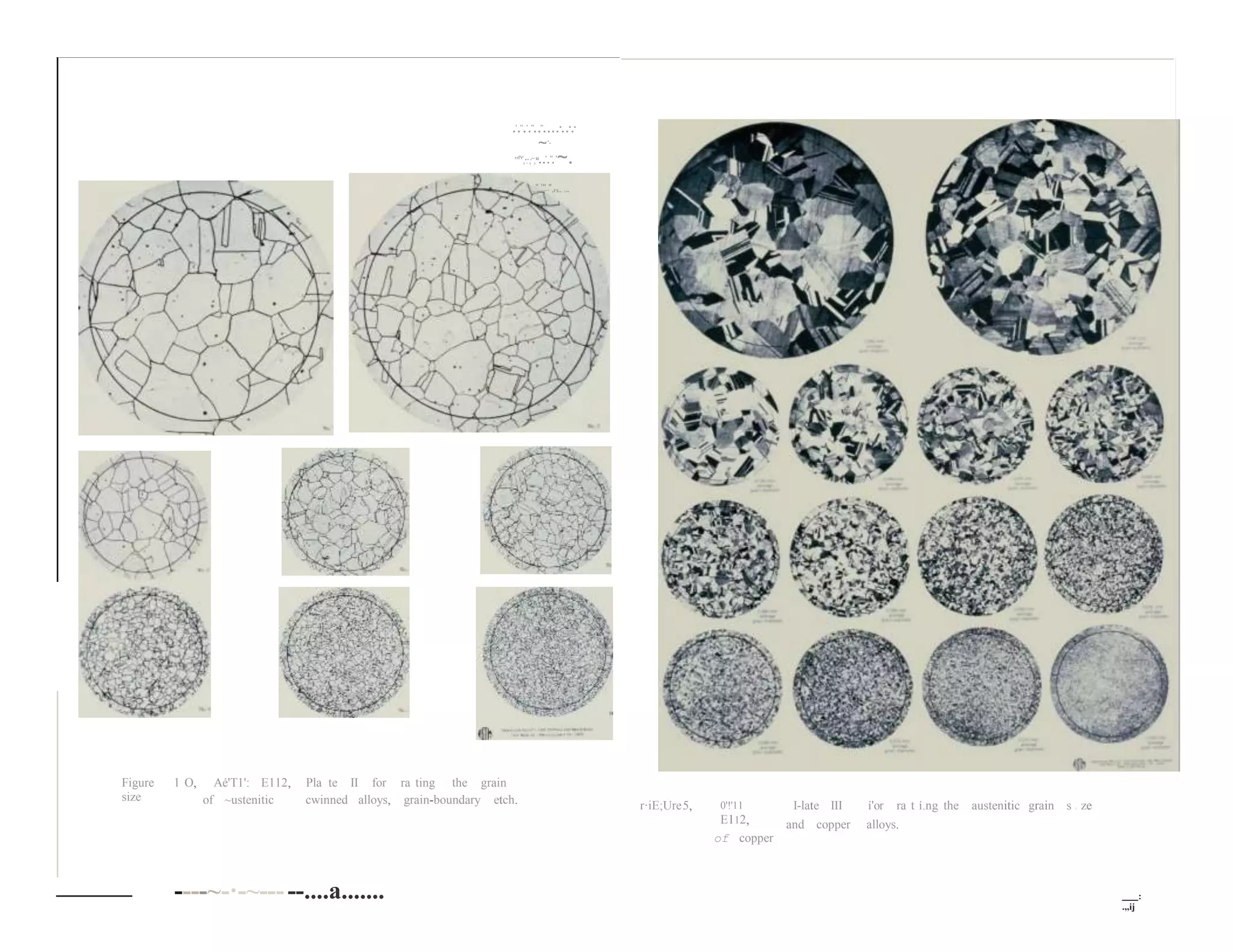 Grain_Size_Measurement.pptx