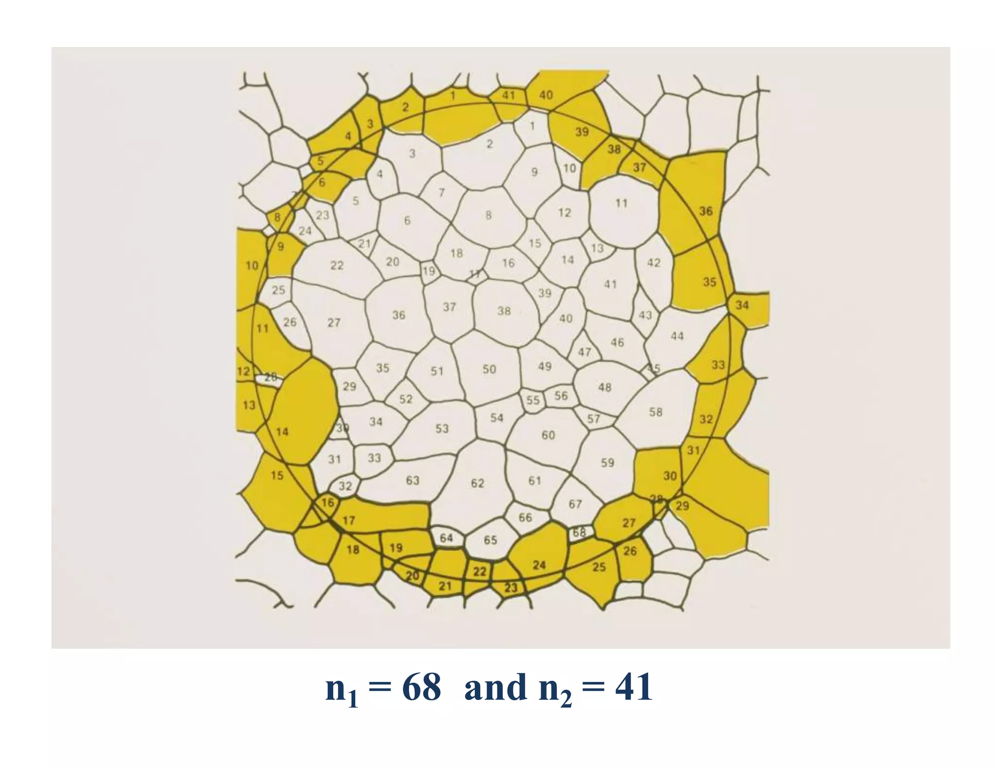 Grain_Size_Measurement.pptx