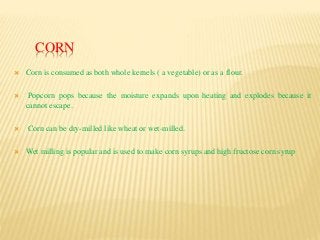 Grain structure of major cereals, pulses and oilseed | PPT