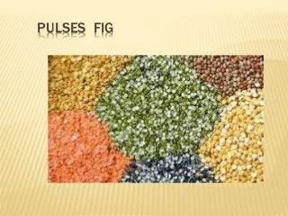Grain structure of major cereals, pulses and oilseed | PPT