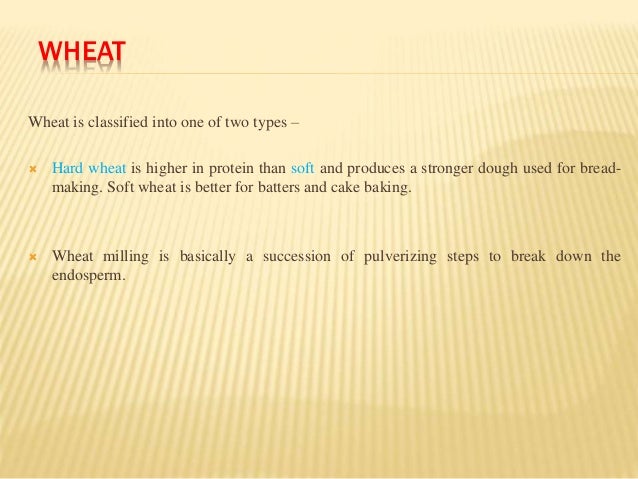 Grain structure of major cereals, pulses and oilseed | PPT