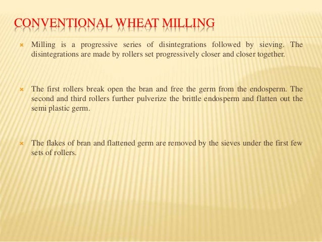 Grain structure of major cereals, pulses and oilseed | PPT