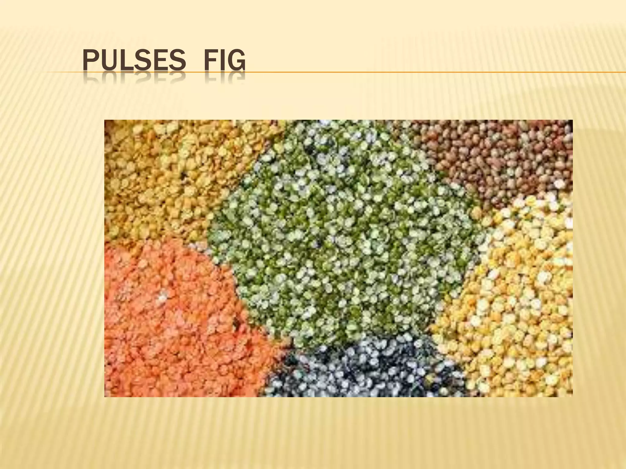 Grain structure of major cereals, pulses and oilseed | PPTX